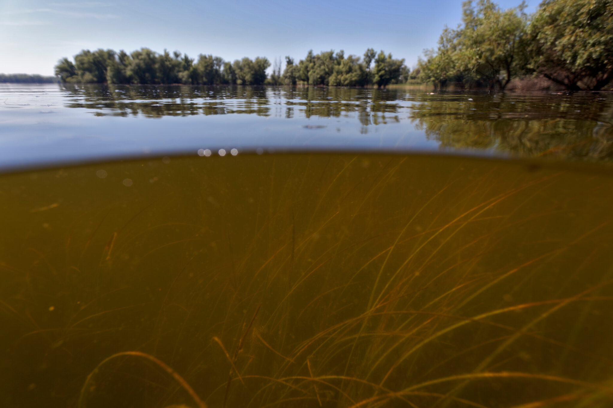 Bass Fishing Muddy Water: The Ultimate Guide
