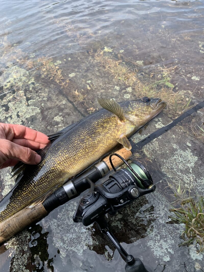 Unlock the Mystery: Guide To Walleye Fishing For Beginners