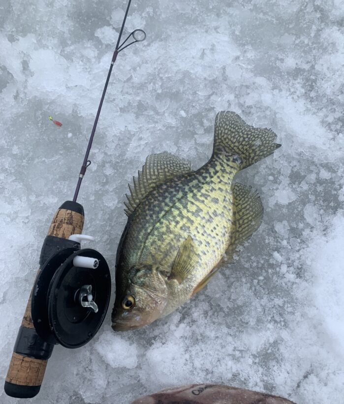Ice Fishing For Crappie: Everything You Need To Know